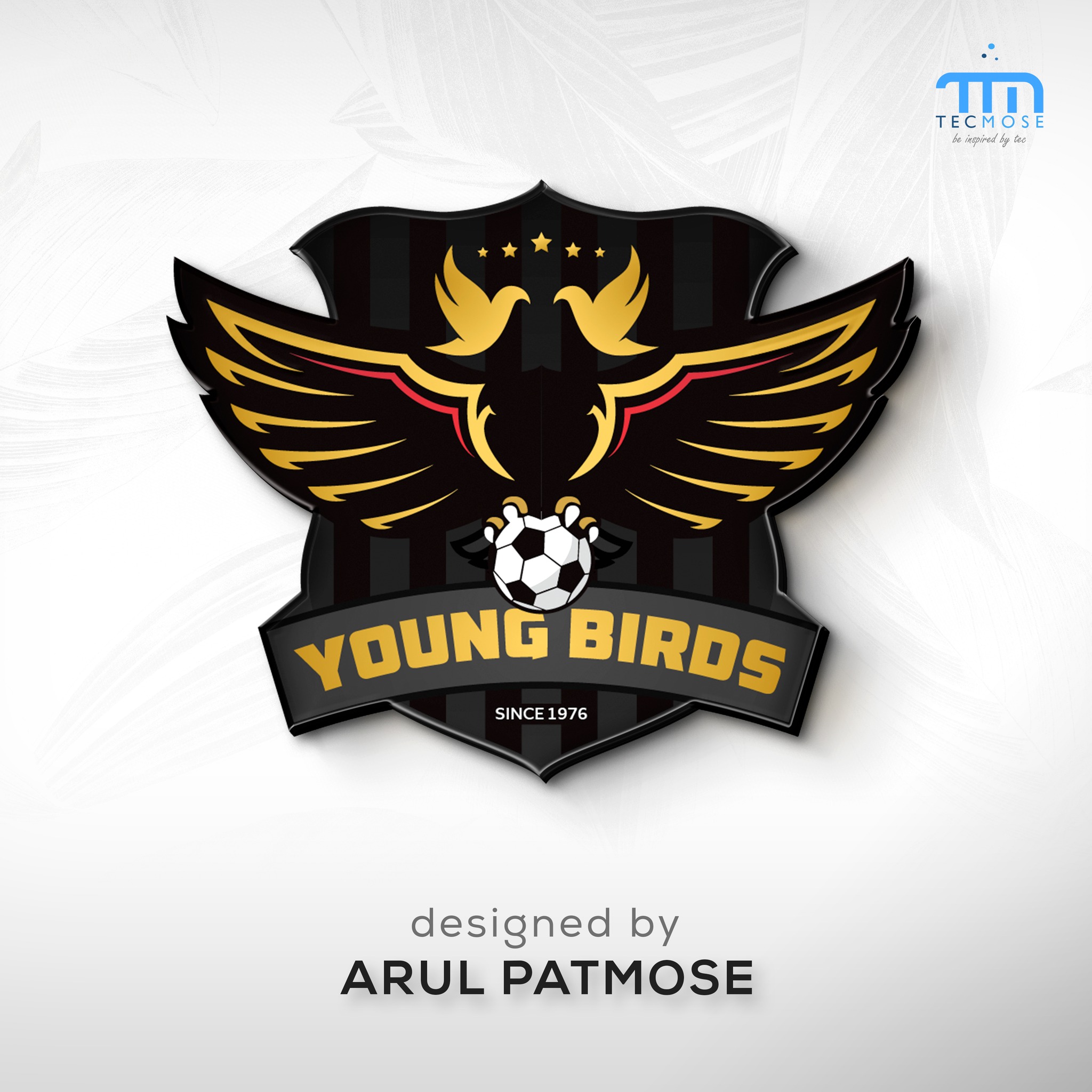 Young Birds Football Club - Arul Patmose Paramanathan